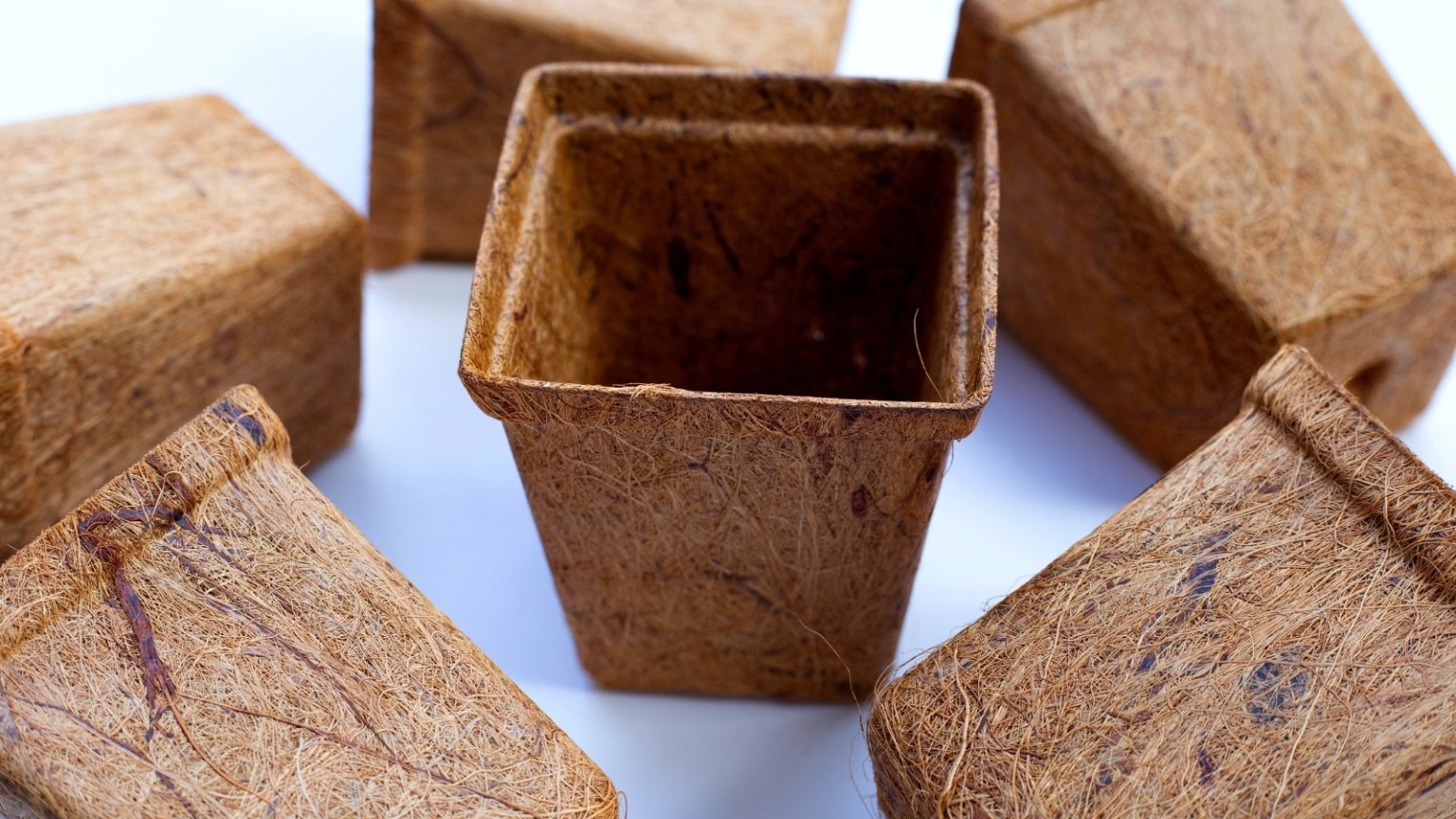 How To Use Coconut Coir: 13 Expert Tips - Epic Gardening