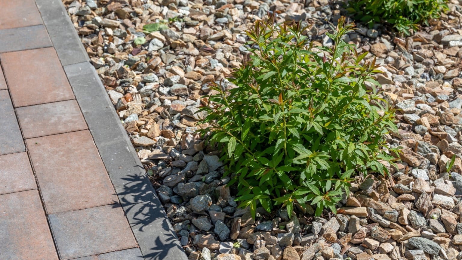 10 Benefits and Drawbacks of Gravel Mulch