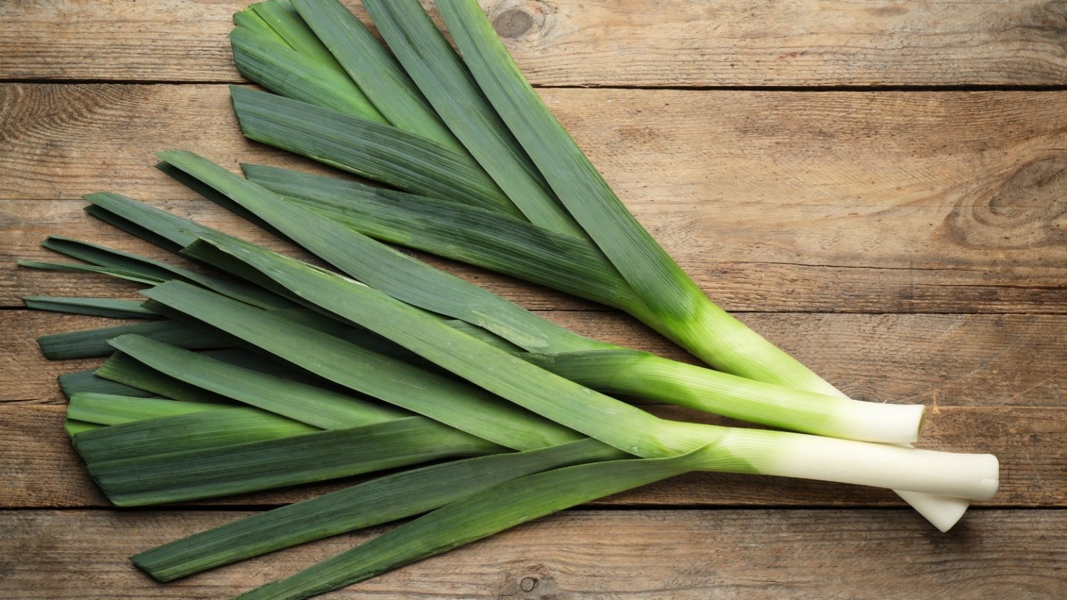 How to Plant, Grow, and Care for Leeks