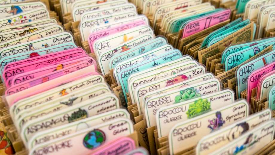 How to Find and Choose High-Quality Seeds: 13 Things to Look For