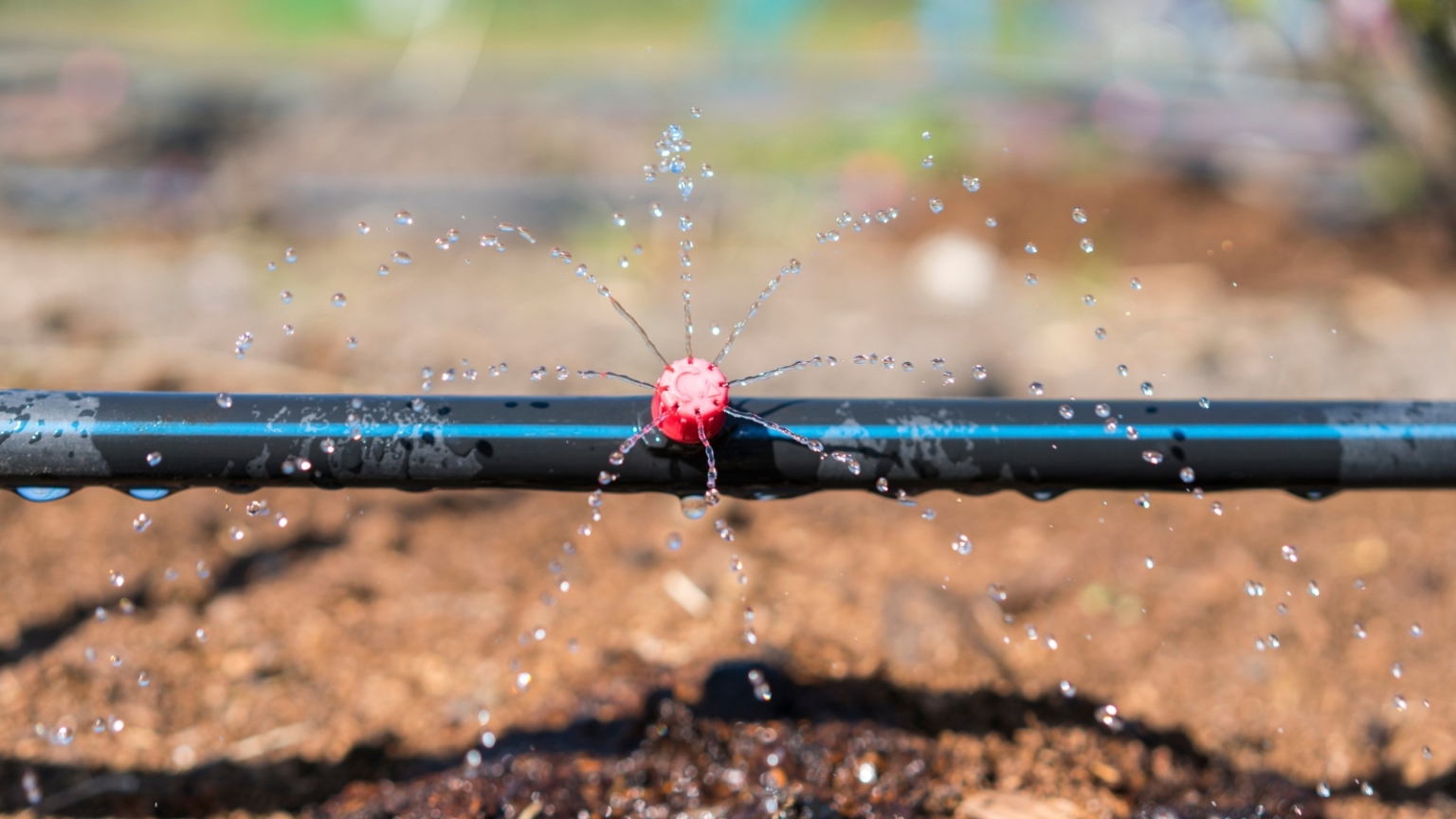 7 Essential Checks to Perform on Your Drip Irrigation System in Spring