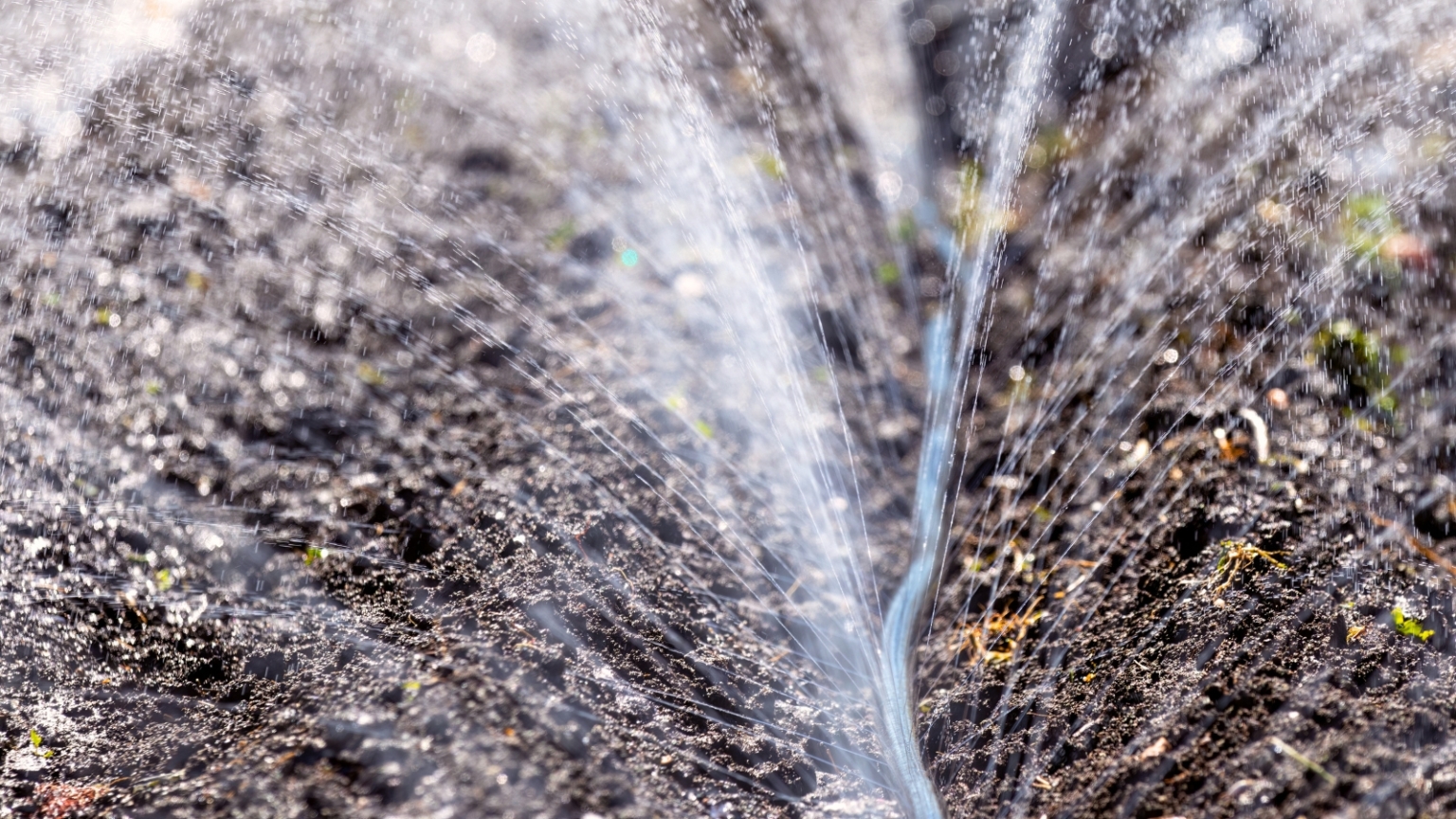 13 Tips to Prepare Your Soil Before Spring Planting