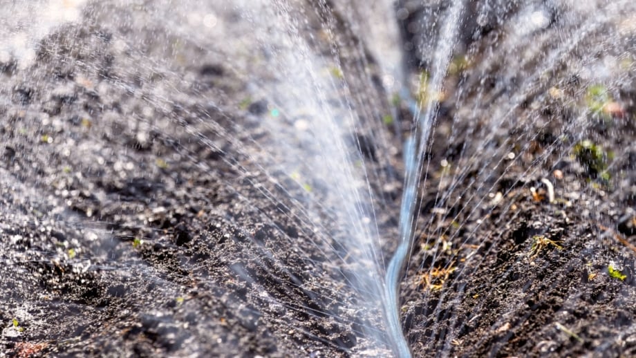 13 Tips to Prepare Your Soil Before Spring Planting