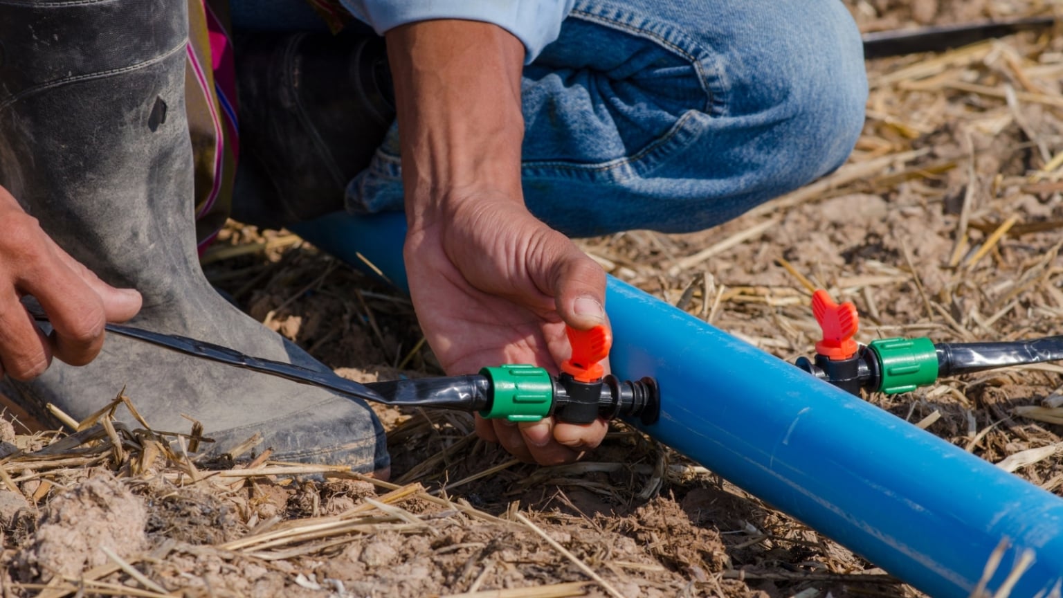7 Essential Checks to Perform on Your Drip Irrigation System in Spring