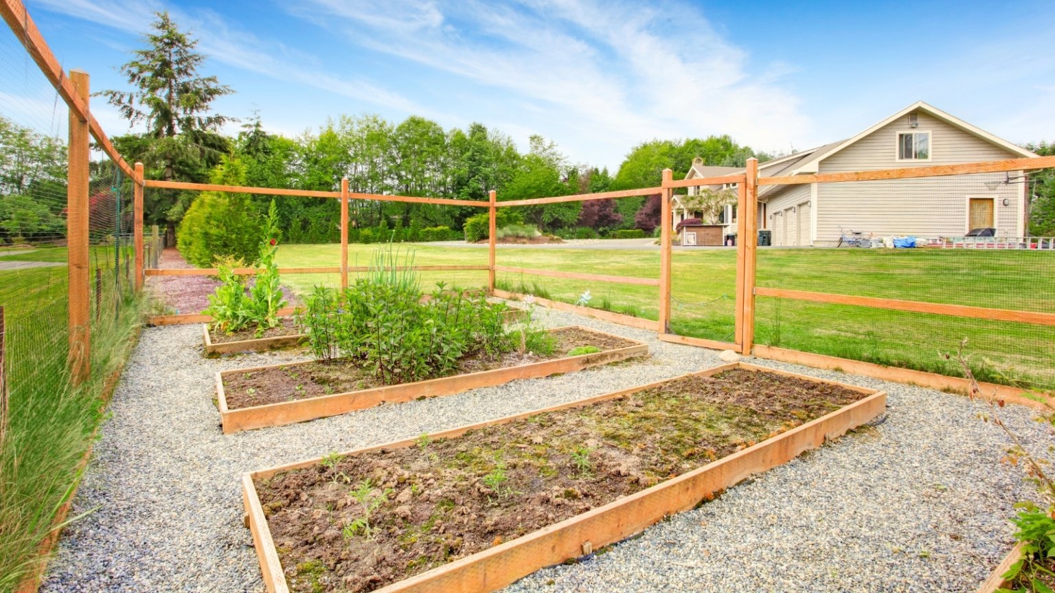 9 Deer-Proofing Garden Solutions to DIY in February