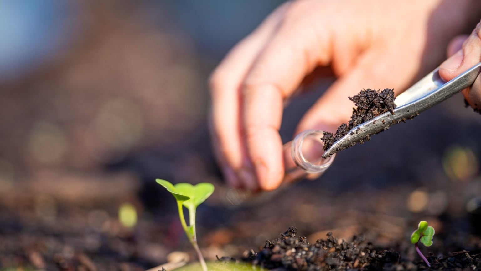 Do These 13 Gardening Tasks in March to Boost Your Garden’s Yield