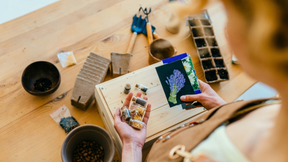 How to Find and Choose High-Quality Seeds: 13 Things to Look For