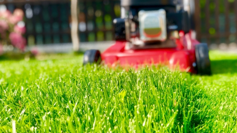 When to Do the First Lawn Mow of the Season: 11 Considerations