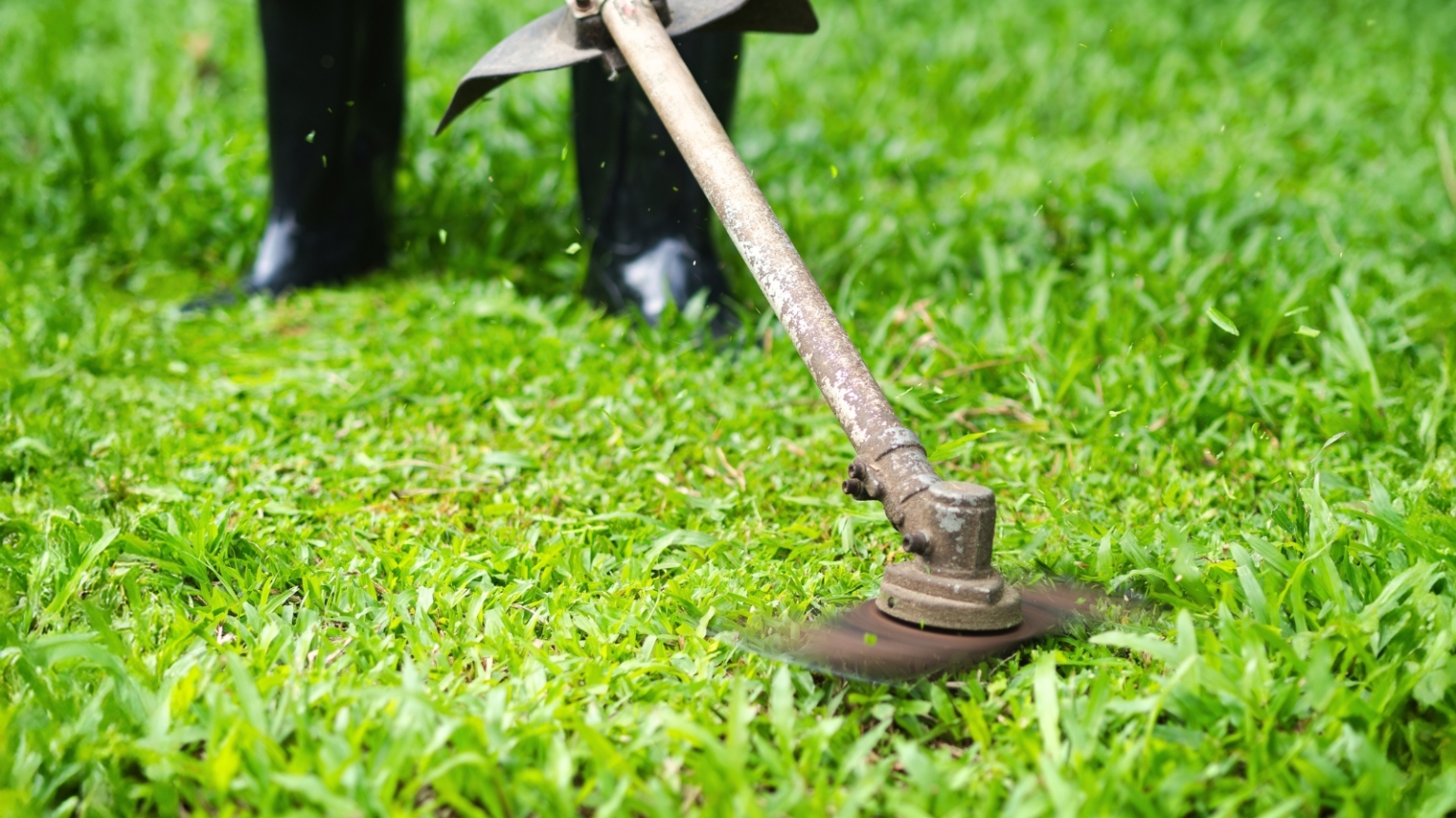 When to Do the First Lawn Mow of the Season: 11 Considerations