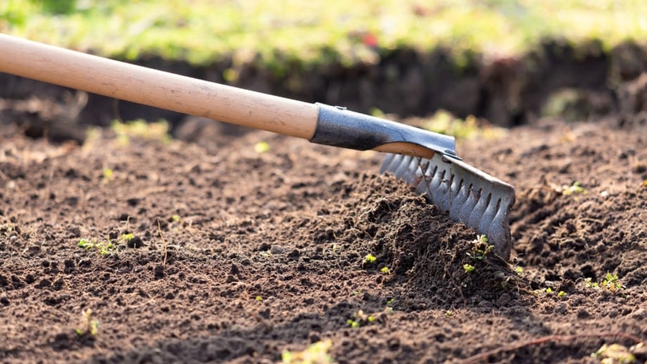 13 Tips to Prepare Your Soil Before Spring Planting