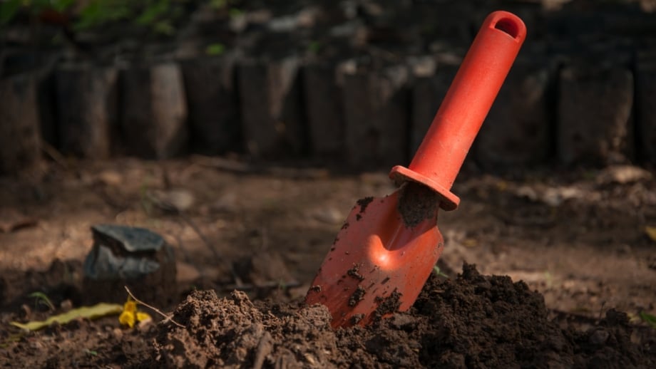 We Tested 8 Weird Gardening Tools: Our Surprising Results