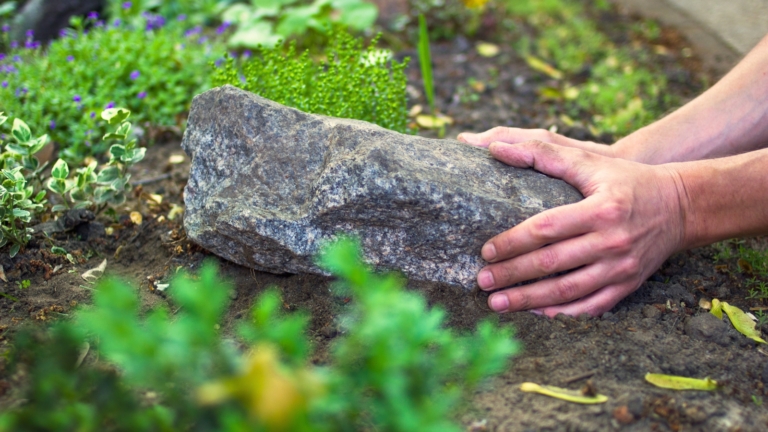 13 Tips to Prepare Your Soil Before Spring Planting