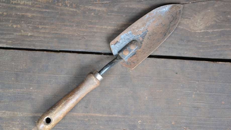 We Tested 8 Weird Gardening Tools: Our Surprising Results
