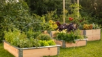 How to Start a Victory Garden in 9 Easy Steps