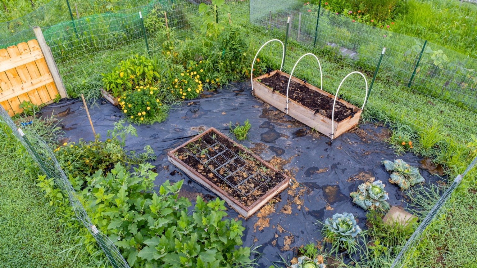9 Deer-Proofing Garden Solutions to DIY in February