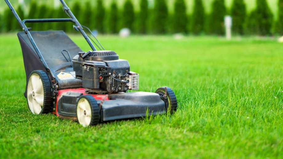 When to Do the First Lawn Mow of the Season: 11 Considerations