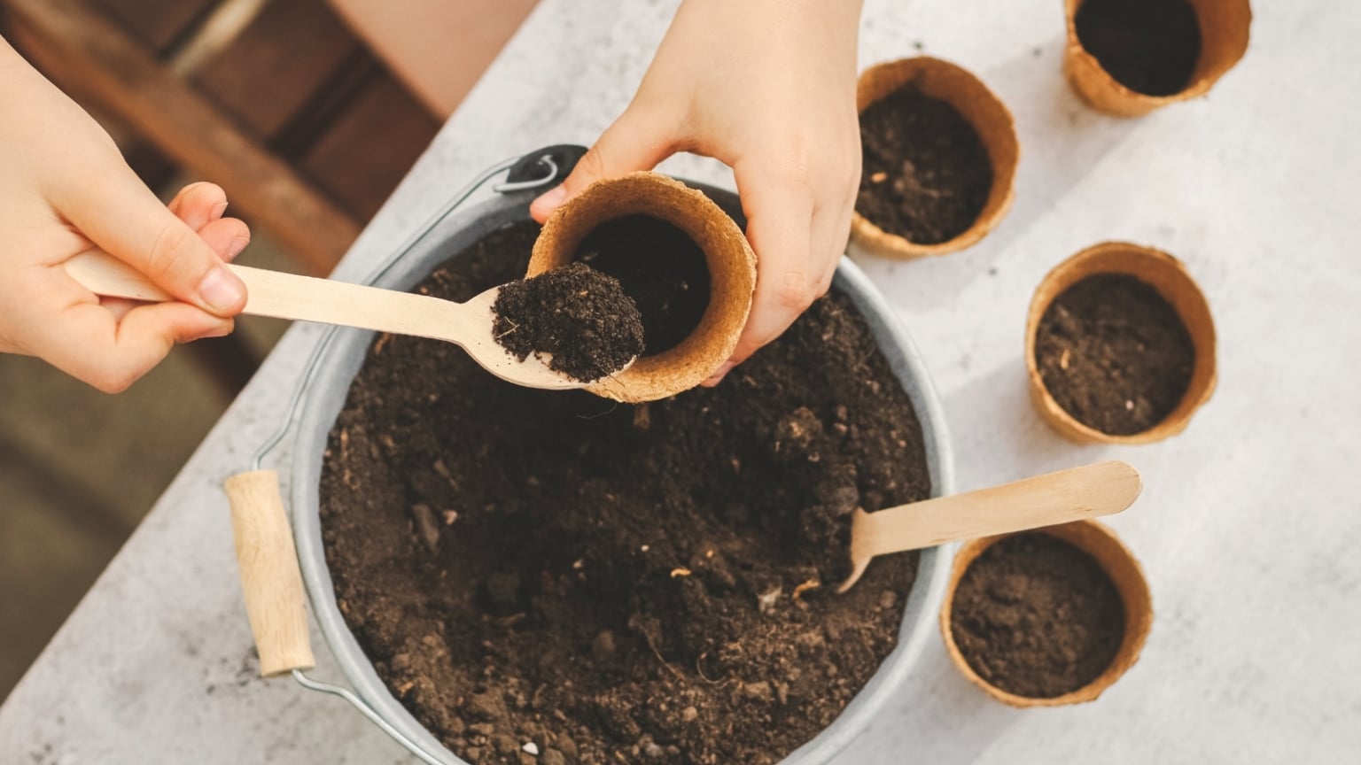 When and How to Start Cucumber Seeds Indoors