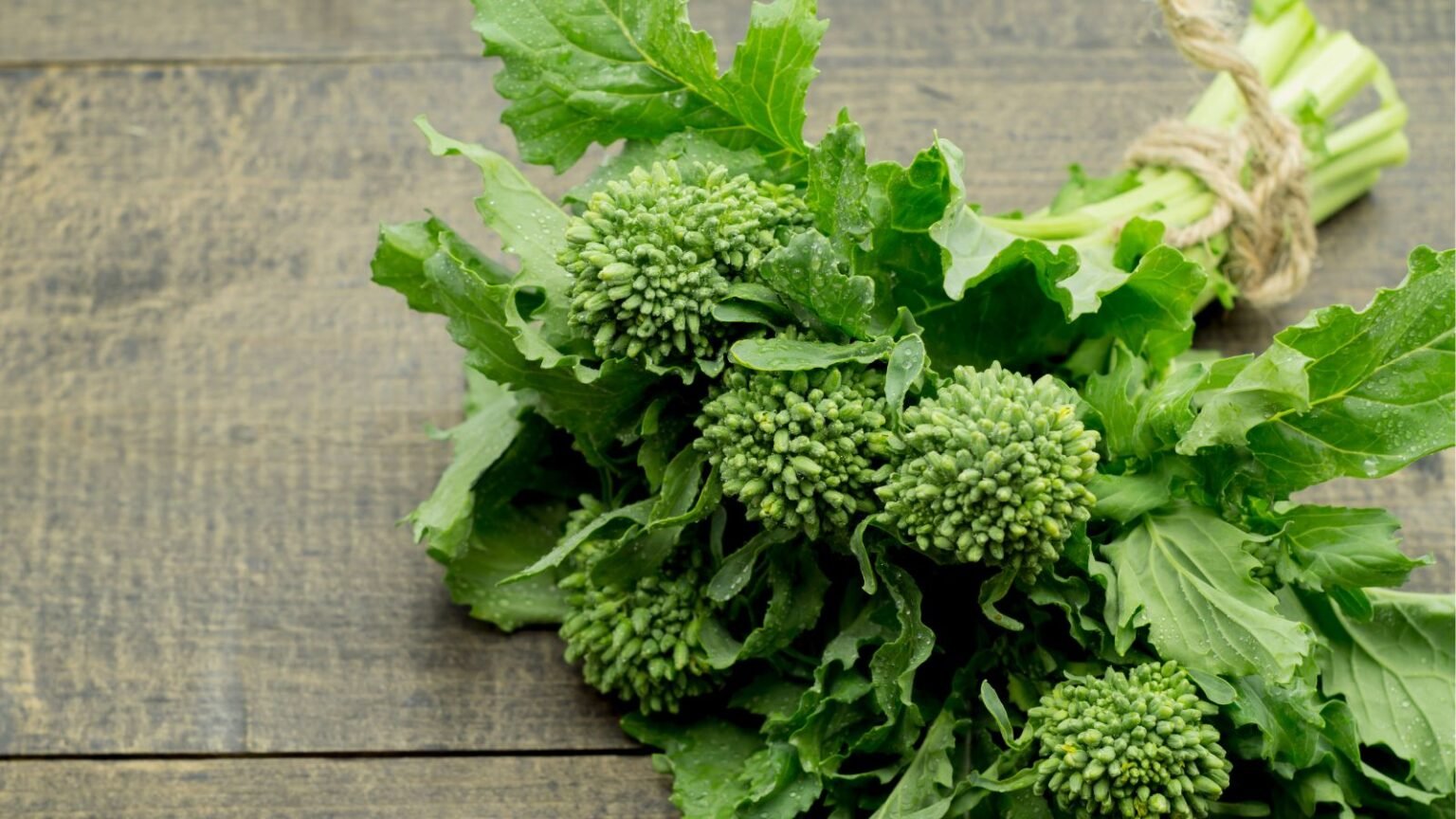 How to Plant, Grow, and Care for Rapini (Broccoli Rabe)