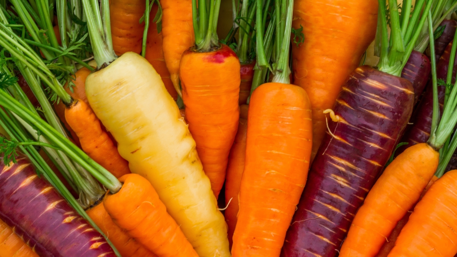 9 Colorful Carrot Varieties to Plant This Season