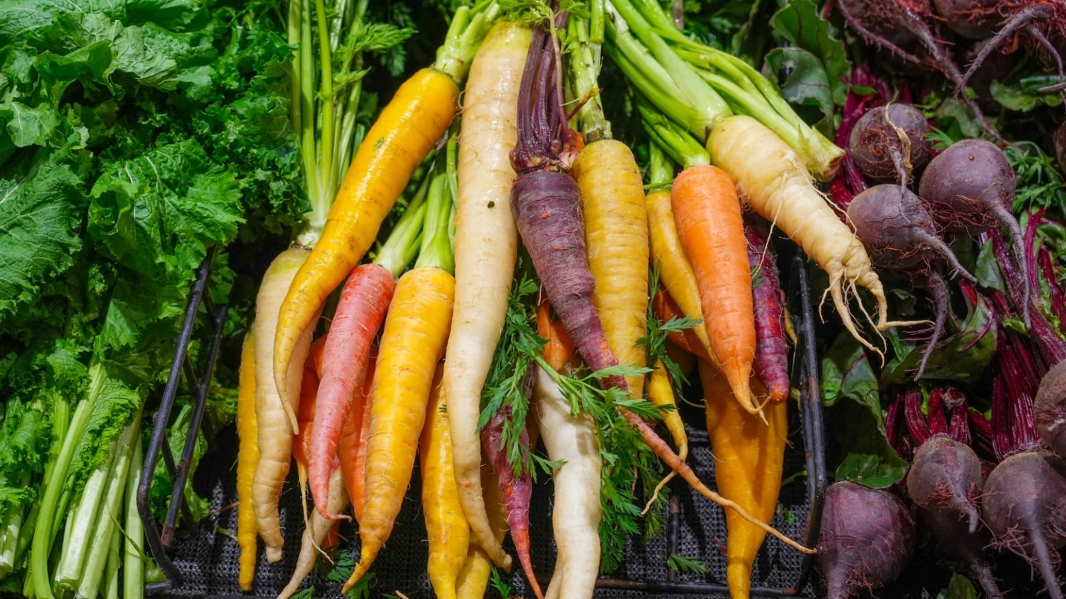 9 Colorful Carrot Varieties to Plant This Season