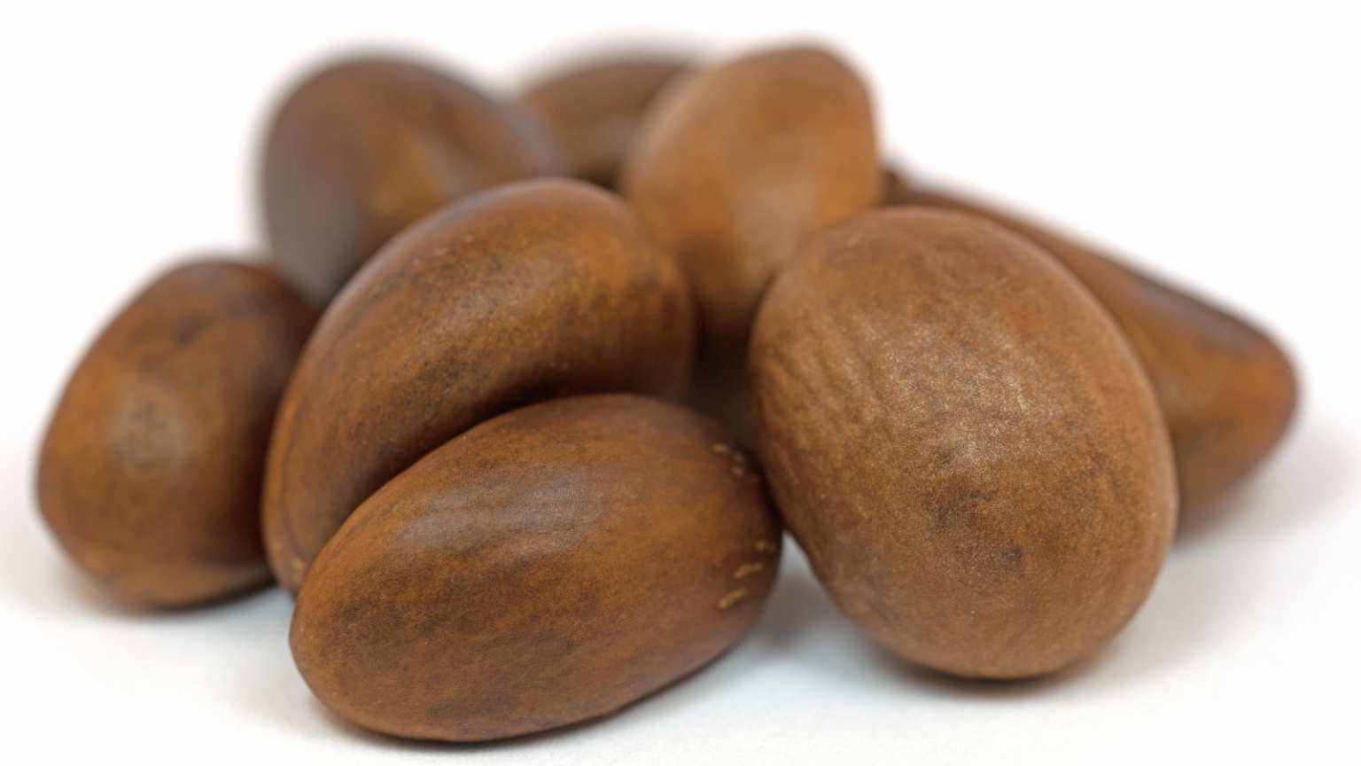 How to Grow a Loquat Tree From Seed