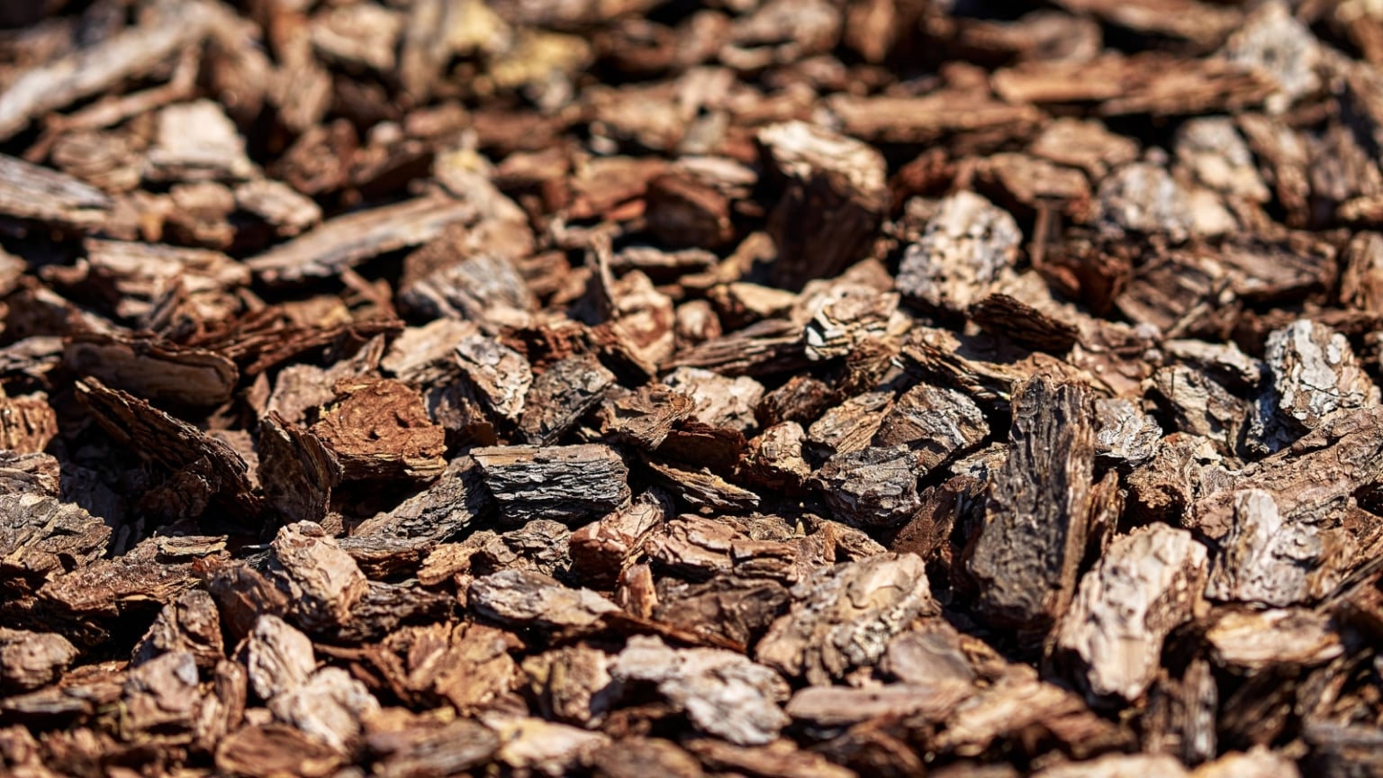 13 Ways Wood Chips Benefit Your Garden
