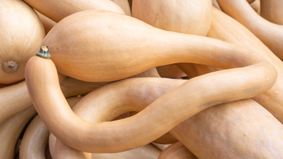 13 Vegetables You Should Plant In April