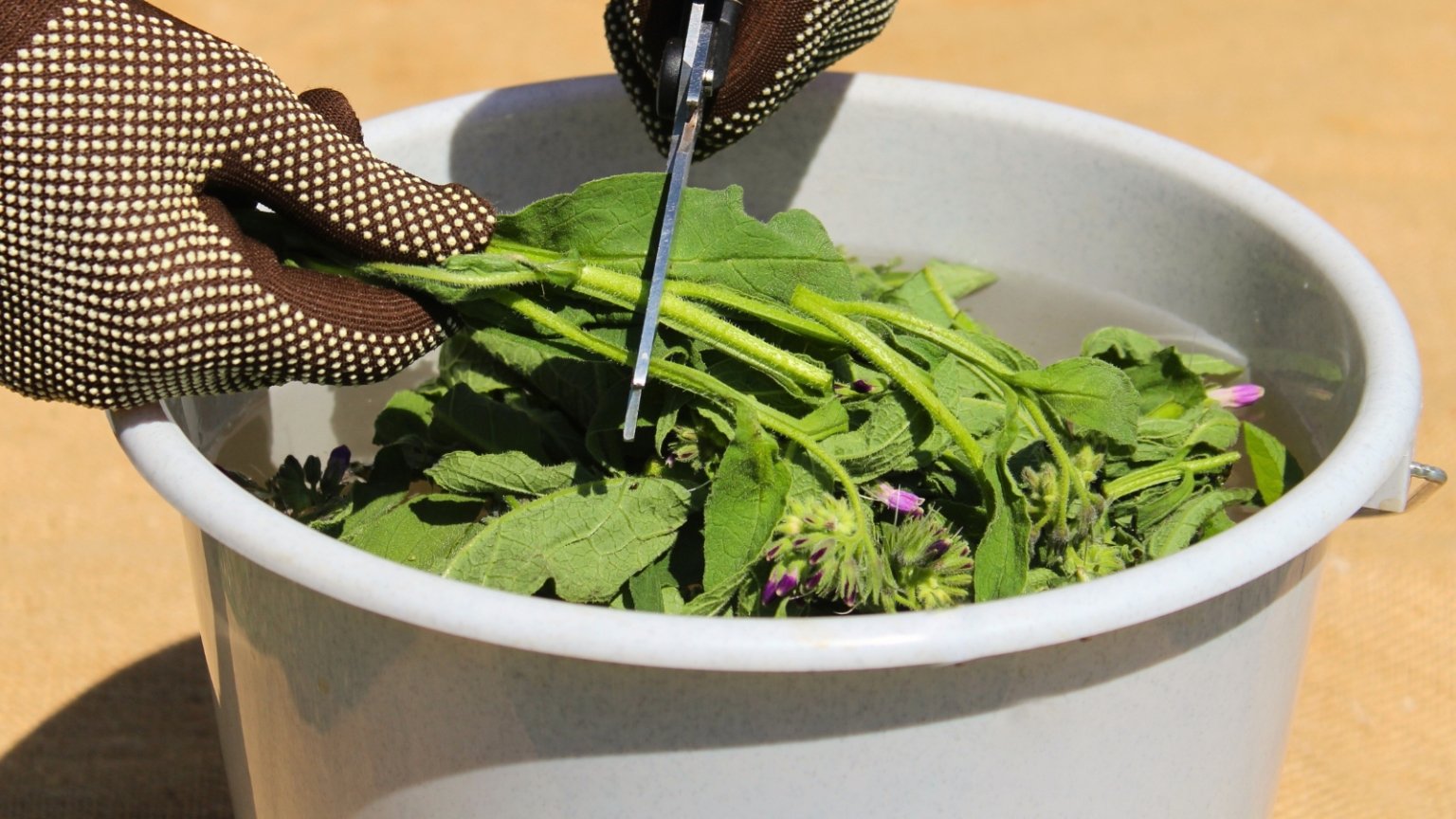 How to Make Homemade Comfrey Fertilizer in X Steps