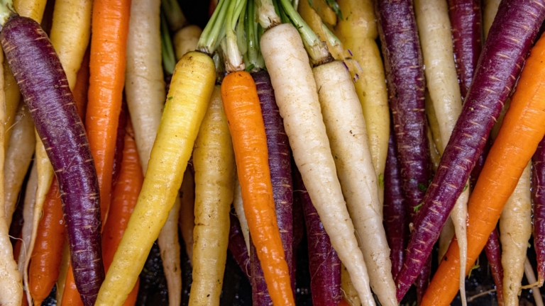 Our 9 Favorite Carrots For Fresh Eating