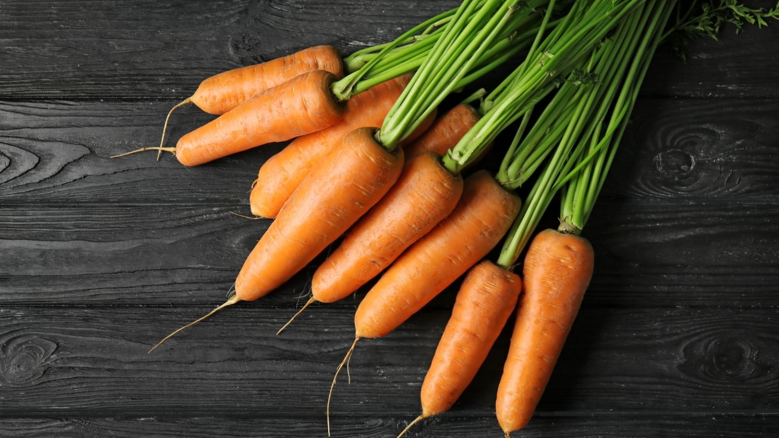When to Plant Carrots for a Fall Harvest
