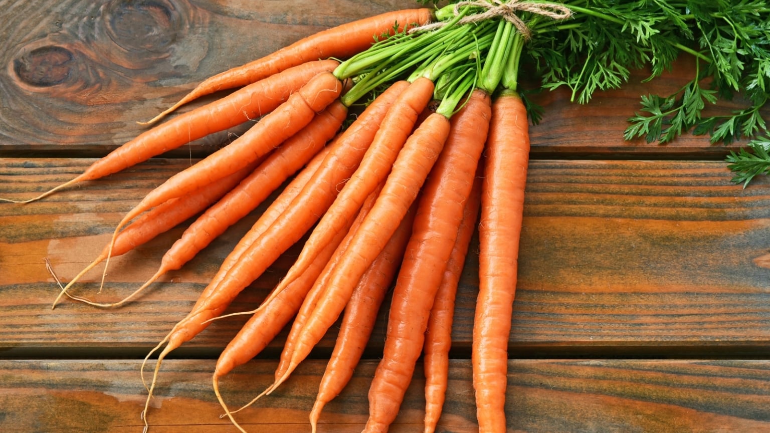 Our 9 Favorite Carrots For Fresh Eating
