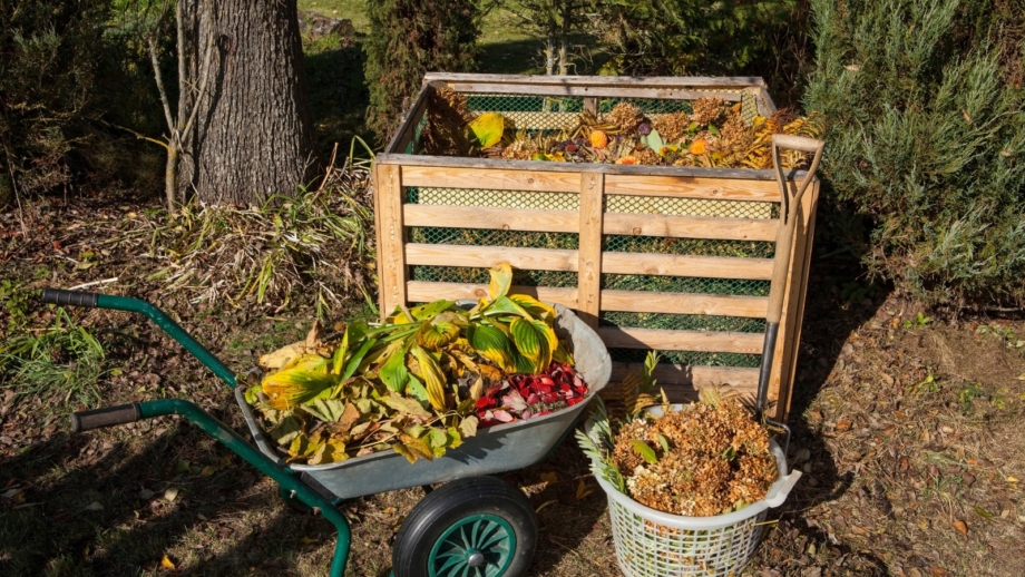 How to Grow Your Own Backyard Survival Garden: A Beginner's Guide
