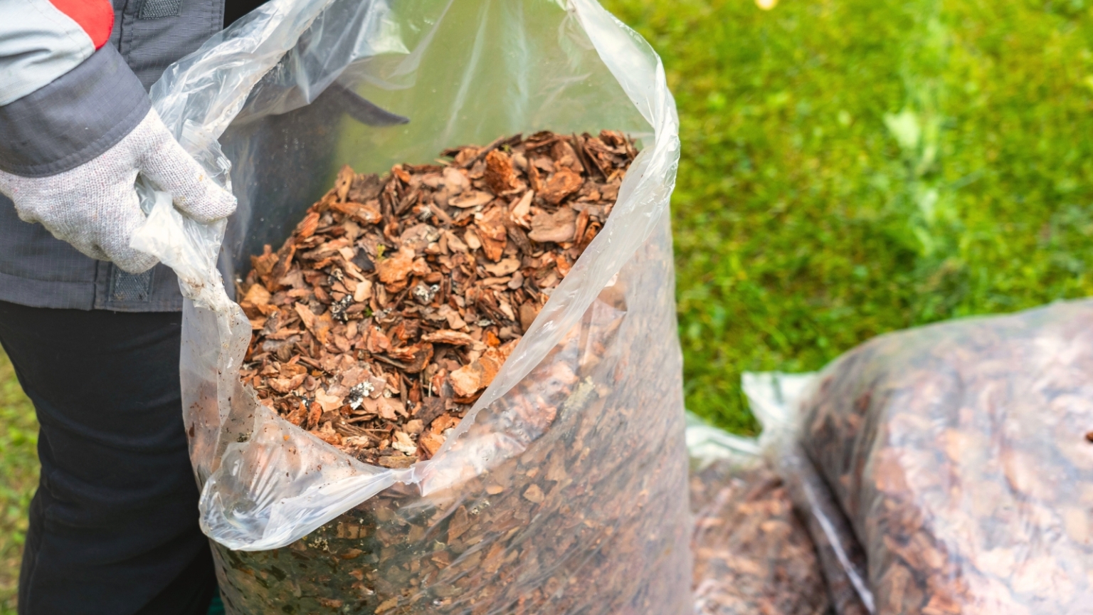 13 Ways Wood Chips Benefit Your Garden