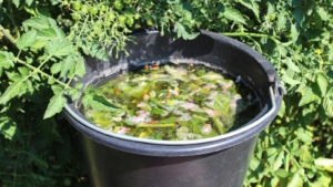 How to Make Homemade Comfrey Fertilizer in X Steps