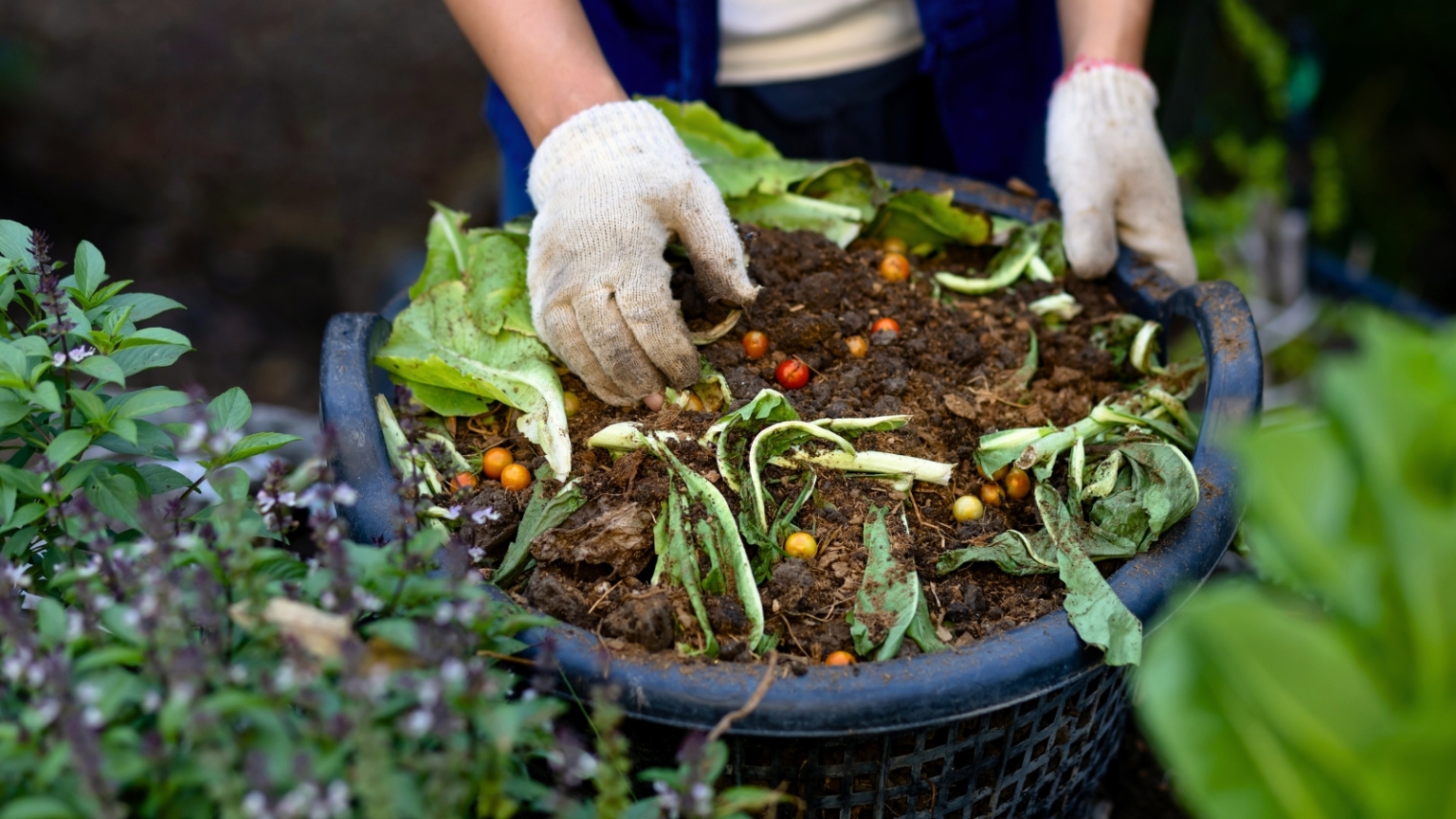 11 Easy Ways to Celebrate Earth Day in the Garden