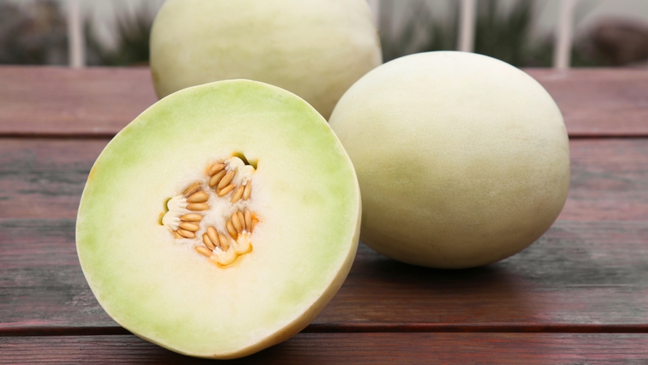 9 Sweet and Flavorful Melon Varieties to Grow in the Home Garden