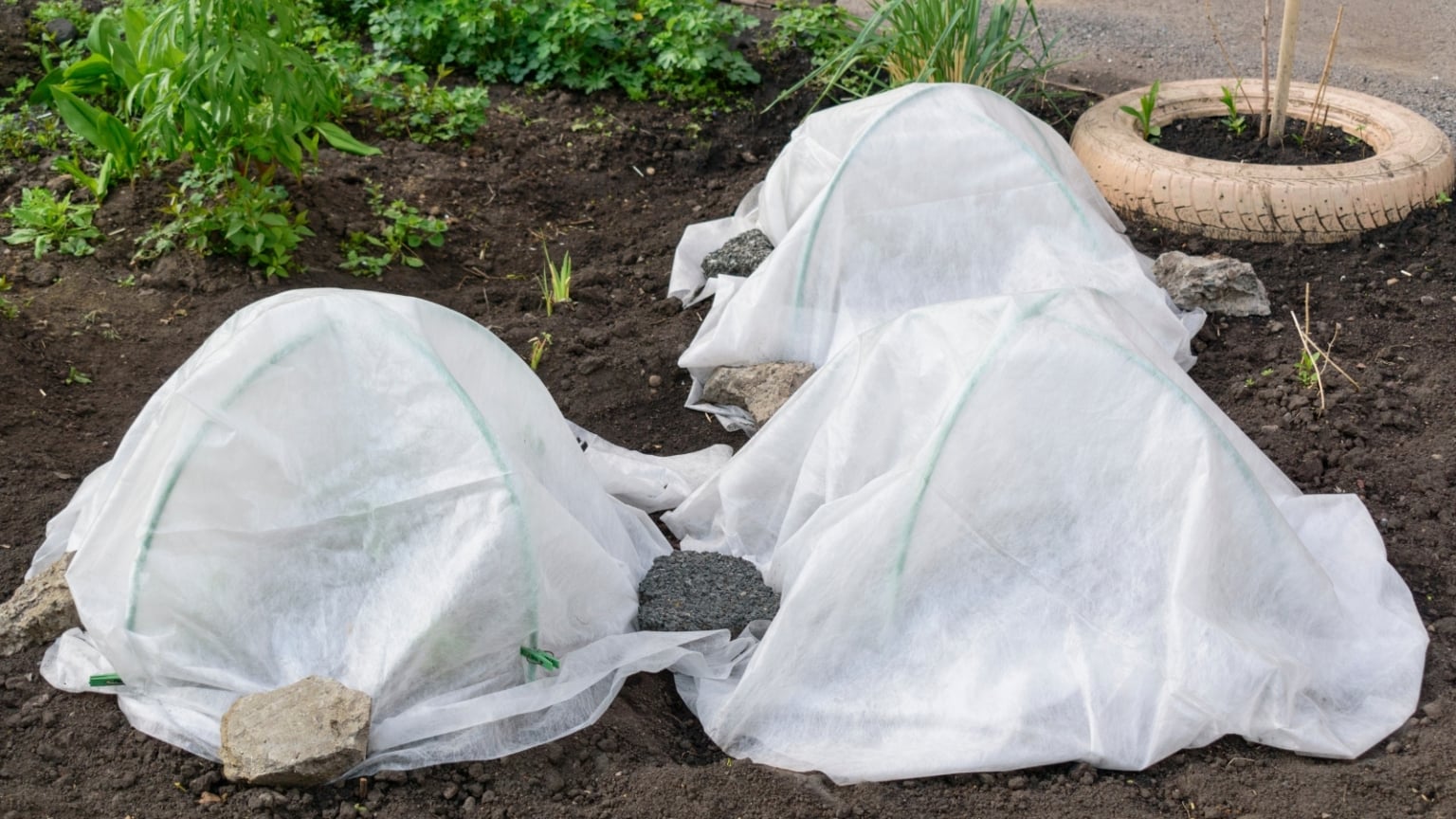 How to Use Floating Row Covers for Temperature and Pest Control