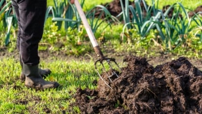 11 Easy Ways to Celebrate Earth Day in the Garden