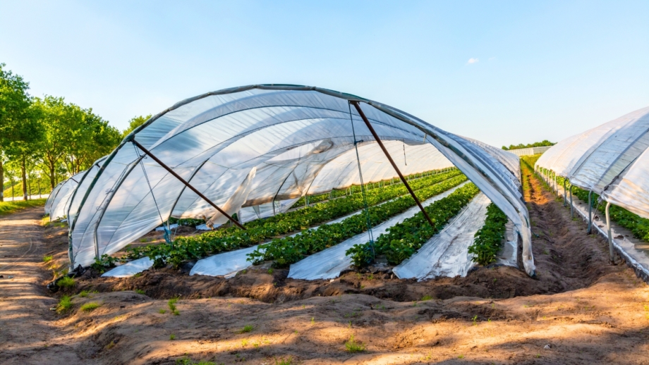 15 Spring Hacks for Gardeners with Short Growing Seasons