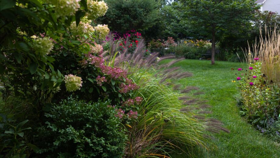 9 Easy Garden Border Combinations That Look Good All Year