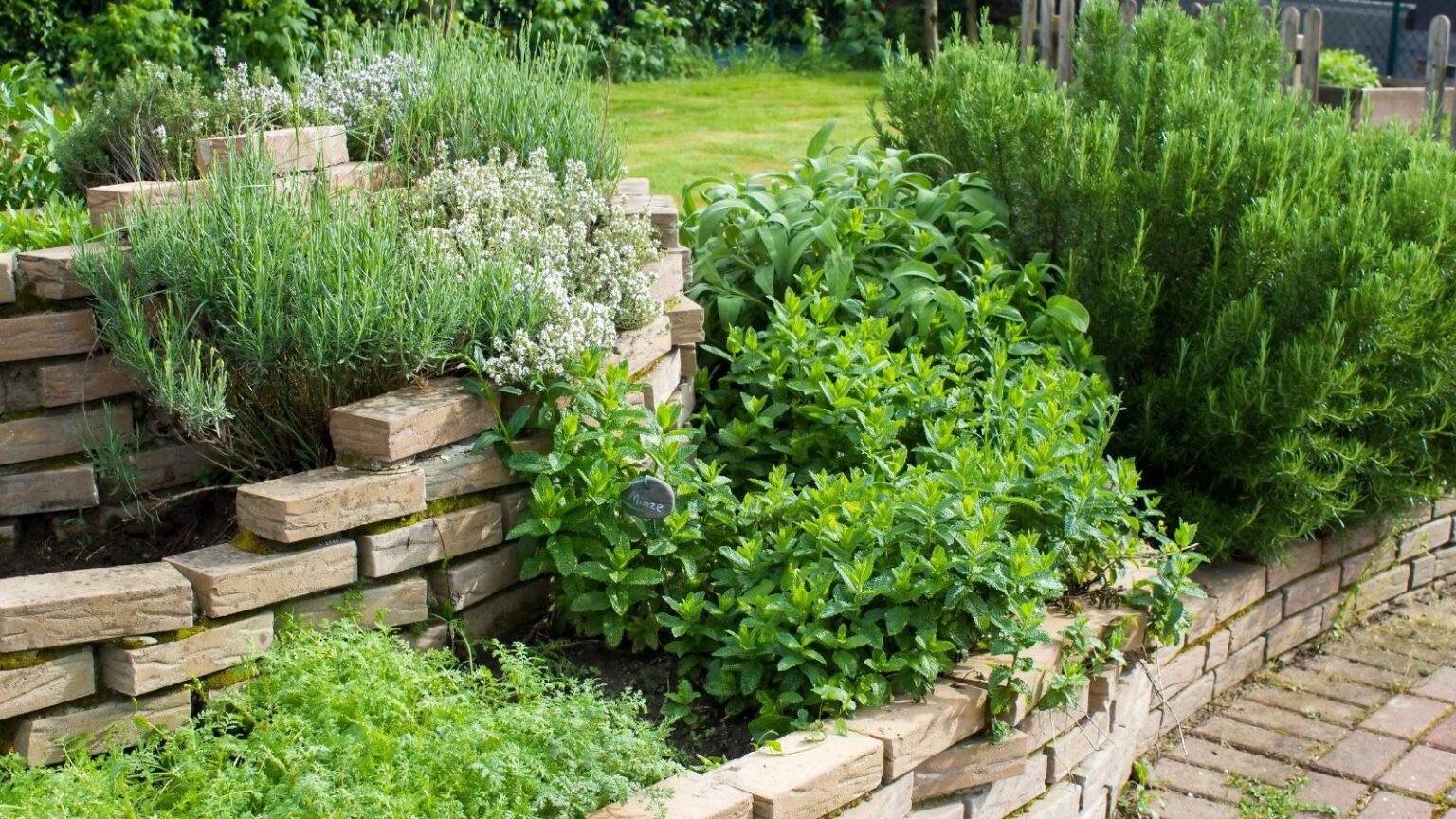 9 Easy Garden Border Combinations That Look Good All Year