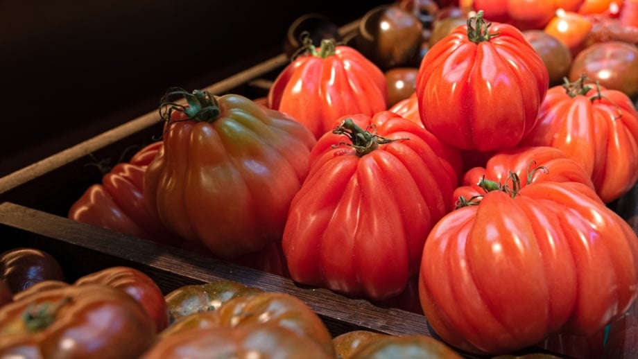 21 Foolproof Tomato Varieties Anyone Can Grow
