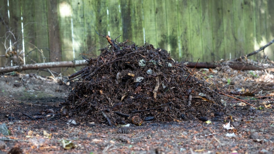 7 Ways to Reuse Old Potting Soil in the Garden