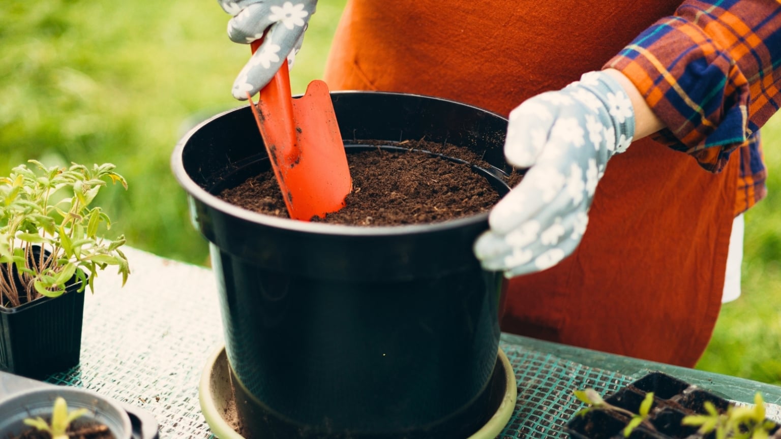 9 Vegetable Combinations That Grow Well Together in Containers