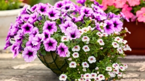 15 Budget-Friendly Spring Container Ideas to Try This Season