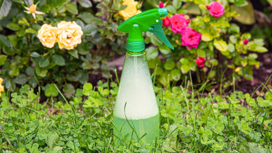 7 Ways Pesticides Can Make Pest Problems Worse