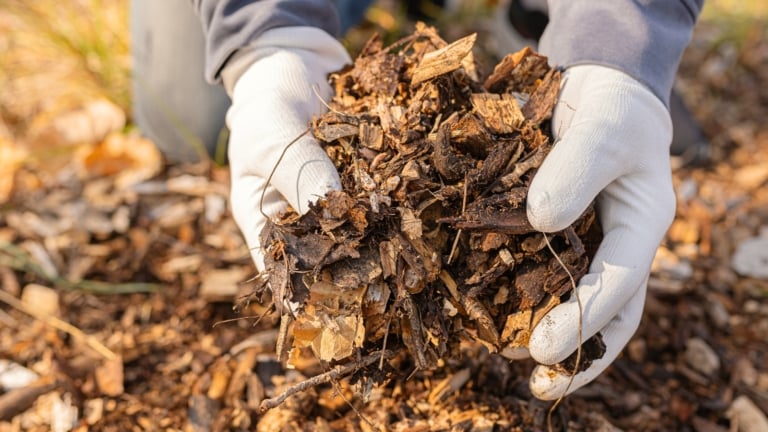 16 Types of Mulch to Improve Your Garden