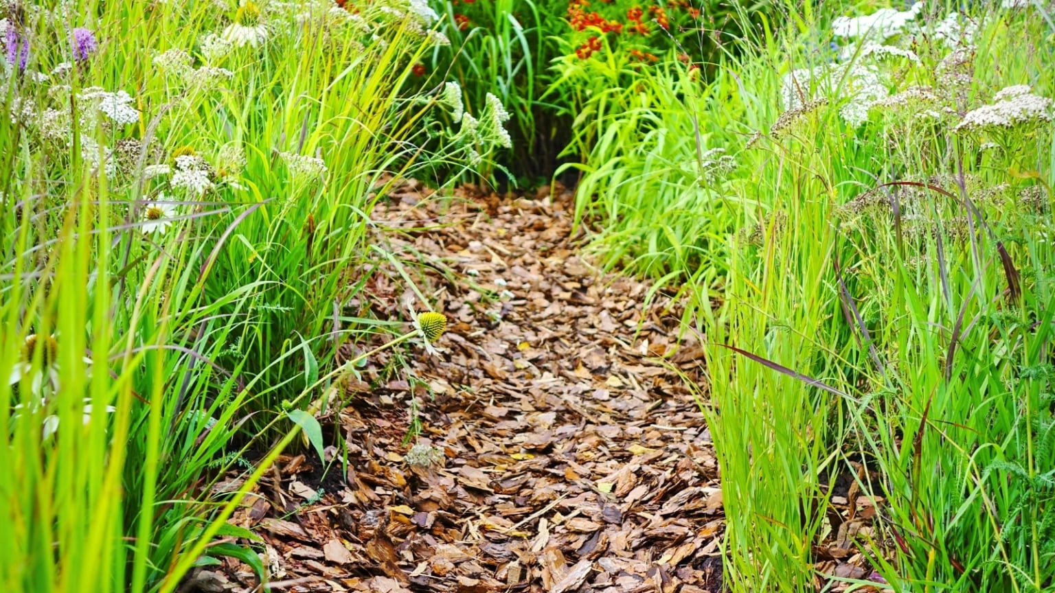 15 Easy Ways to DIY Your Garden Paths