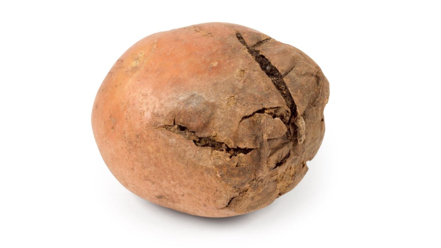 What's Wrong With My Potato Plant?: 9 Problems and Solutions