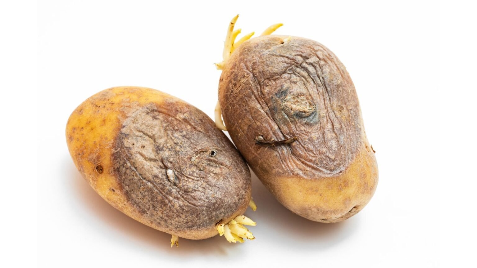 What's Wrong With My Potato Plant?: 9 Problems and Solutions